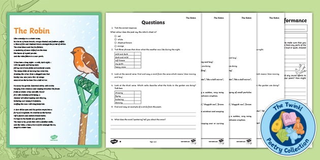 'The Robin' – Winter Free Verse Poem for KS2